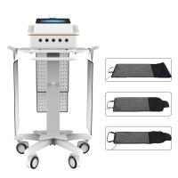 China Vertical Salon Beauty Machine 5D Lipo Pad Laser Slimming Machine Pain Relief for sale