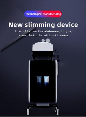 China 448khz Vertical Cavitation Body Care System Ret Cet RF Machine for sale