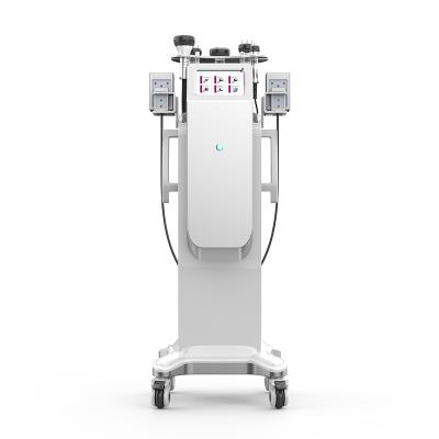 China Vertical Ultrasound Cavitation Machine Plates Beauty For Body Slimming for sale