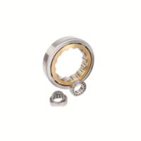 China China Factory Price NJ/NU/NUP244M Cylindrical roller bearing Size200*400*65mm For Machinery bearing for sale