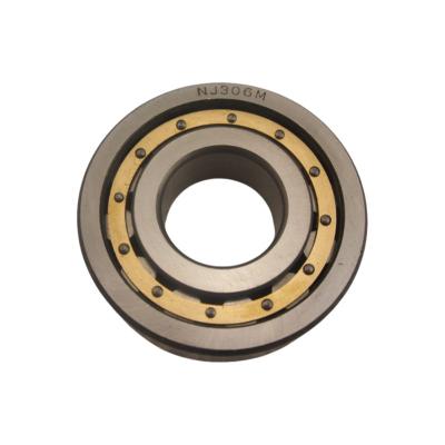 China Product Manufacturer Long Using Life Good Performance NJ306M  Cylindrical roller bearing Size30*72*19mm for sale