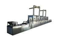 China Multifunctional Microwave Drying And Sterilization Machine Tunnel Type for sale