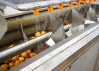 China Fresh Fruit Food Washing Machine With Increased Preservation Time for sale