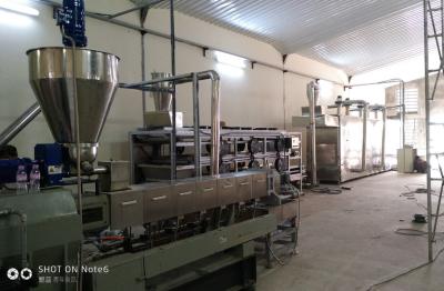 China Good Efficiency Artificial Rice Processing Line , Nutritional Rice Extruder 380V / 50Hz for sale