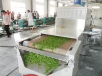 China 20 Kw Microwave Equipment Drying Sterilizing Fixing For Tea Herbs And Flowers for sale