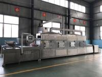 China Stainless Steel Temperature Controllable Microwave Equipment Green Beans Baking Machine for sale
