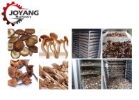 China Heat Pump Hot Air Mushroom Dryer Tea Tree Mushroom Dehydrator Machine for sale