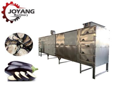 China Industrail Tunnel Belt Hot Air Circulation Ginger Dryer Eggplant Drying Machine for sale