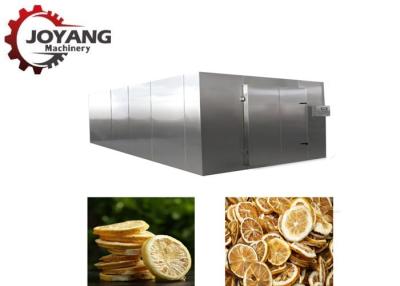 China Heating Pump Lemon Hot Air Dryer Machine , Fruit Dehydration Equipment for sale