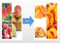 China Large - Scale Heating Pump Fruit Dryer Hot Air Peach Drying Equipment for sale