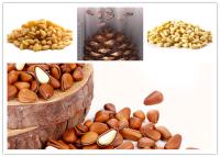 China High Productivity Hot Air Circulate Dryer Pine Nuts Drying Oven Cabinet for sale