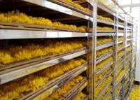 China 1 Year Warranty Hot Air Dryer Machine Golden Chrysanthemum Drying Machine for sale