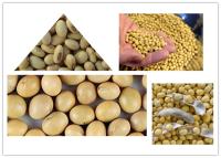 China Industrial Soya Heat Pump Dryer Hot Air Drying Oven For Soybean Grain Crops for sale