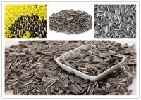 China 20KW Hot Air Source Sunflower Seeds Dryer Heat Pump Seed Drying Oven Low Noise for sale