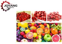 China Stainless Steel Industrial Hot Air Dryer Machine Mango Strawberry Drying Oven Machine for sale