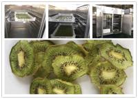 China Heat Pump Fruit Dryer Cabinet Heating Equipment Kiwi Berry Drying Oven Machine for sale
