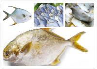 China Uniformly Drying Oven Hot Air Tunnel Dryer Seafood Pompano Heat Pump Heating for sale