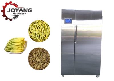 China Eco - Friendly Hollyhock Hot Air Dryer Machine Daylily Drying Oven Machine for sale