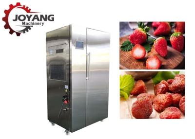 China Heat Pump Blackcurrant Hot Air Dryer Machine Blueberry Strawberry Drying for sale