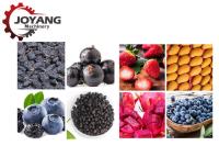 China Heat Pump Blackcurrant Hot Air Dryer Machine Blueberry Strawberry Drying for sale
