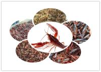 China Long Life Durable Crayfish Hot Air Dryer Machine Heat Pump Food Drying Oven for sale