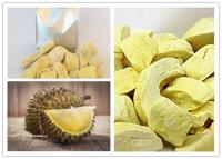 China Precise Control Durian Hot Air Dryer Machine High Valued Products Drying Oven for sale