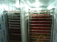 China Fresh Chili Heat Pump Hot Air Dryer Machine Fruit And Vegetable Drying Machine for sale