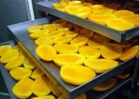 China Commercial Heat Pump Mango Drying Machine , Durable Hot Air Fruit Dryer for sale