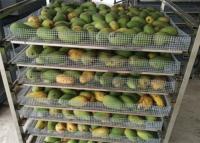 China Commercial Heat Pump Mango Drying Machine , Durable Hot Air Fruit Dryer for sale