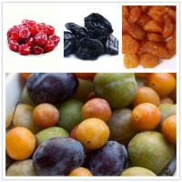 China Automatic Figs Avocado Plum Heat Pump Drying Machine , Hot Air Fruit Dryer for sale