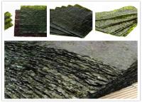 China High Productivity Nori Drying Machine Agar Laver Algae Heat Pump Dryer for sale