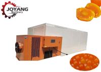 China CE Hot Air Circulation Drying Machine Heat Pump Food Egg Yolk Dryer for sale
