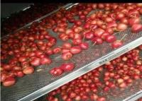 China Dehumidified Compressor Air Dryer Hot Air Cherry Dryer Oven Machine Long Life for sale