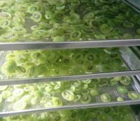 China Industrial Hot Air Dryer Machine Fruit Kiwi Drying Machine No Carbon Emissions for sale