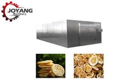 China Sus 304 Industrial Agricultural Product Hot Air Dryer Machine For Lemon for sale