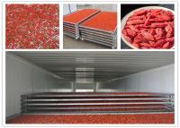 China CE Industrial Goji Hot Air Blower Dryer Wolfberry Cabinet Drying Machine for sale