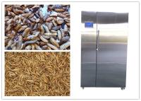 China Larva Mealworm Hot Air Dryer Machine Heat Pump Pet Feed Insects Dryer for sale