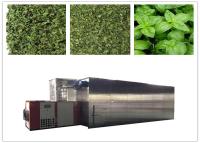 China Industrial Onion Hot Air Dryer Machine Paper Mornga Molochia Drying Machine for sale