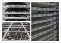 China Seafood Dehydrator Shark Fin Hot Air Dryer Machine Scallops Drying Machine for sale