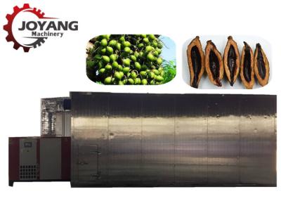 China Hot Air Blower Areca Nut Drying Machine Heat Pump Catechu Betel Nut Dehydrator for sale