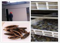 China Hot Air Blower Areca Nut Drying Machine Heat Pump Catechu Betel Nut Dehydrator for sale