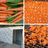 China Industrial Heat Pump Radish Dehydrator Hot Air Food Dryer Carrots Drying Machine for sale