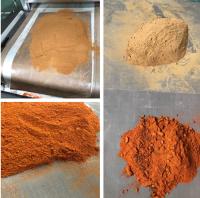 China SS Microwave Drying Technology Spice Pepper Dryer Powder And Sterilization Machine for sale