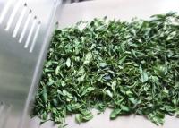 China PLC Microwave Drying Sterilization Equipment Moringa Leaves Dryer Oven Leaves for sale
