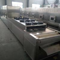 China Industrial Tunnel Type Microwave Drying And Sterilization Machine For Palm Kernel Shell for sale