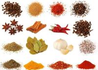 China Continuous Food Microwave Drying And Sterilization Machine Green / Black Cardamom for sale