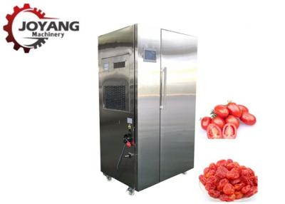 China Ss Industrial Fruit Heat Pump Dryer Hot Air Cherry Tomato Hot Air Drying System for sale
