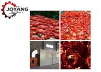 China Ss Industrial Fruit Heat Pump Dryer Hot Air Cherry Tomato Hot Air Drying System for sale