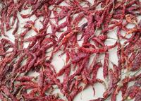 China Continuous Microwave Sterilization Machine For Red Chili Pepper Powder Spice Powder for sale