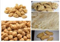China Tvp Soya Vegetarian Meat Muscle Protein Double Extruder Machine Soya Chunks Processing for sale